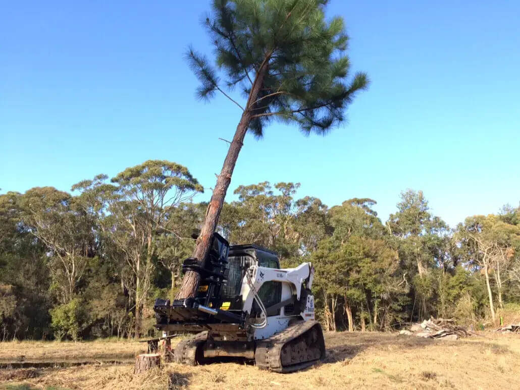 14" & 16" Timberwolf Forestry Tree Shears | Maxx Attachments | Skid ...