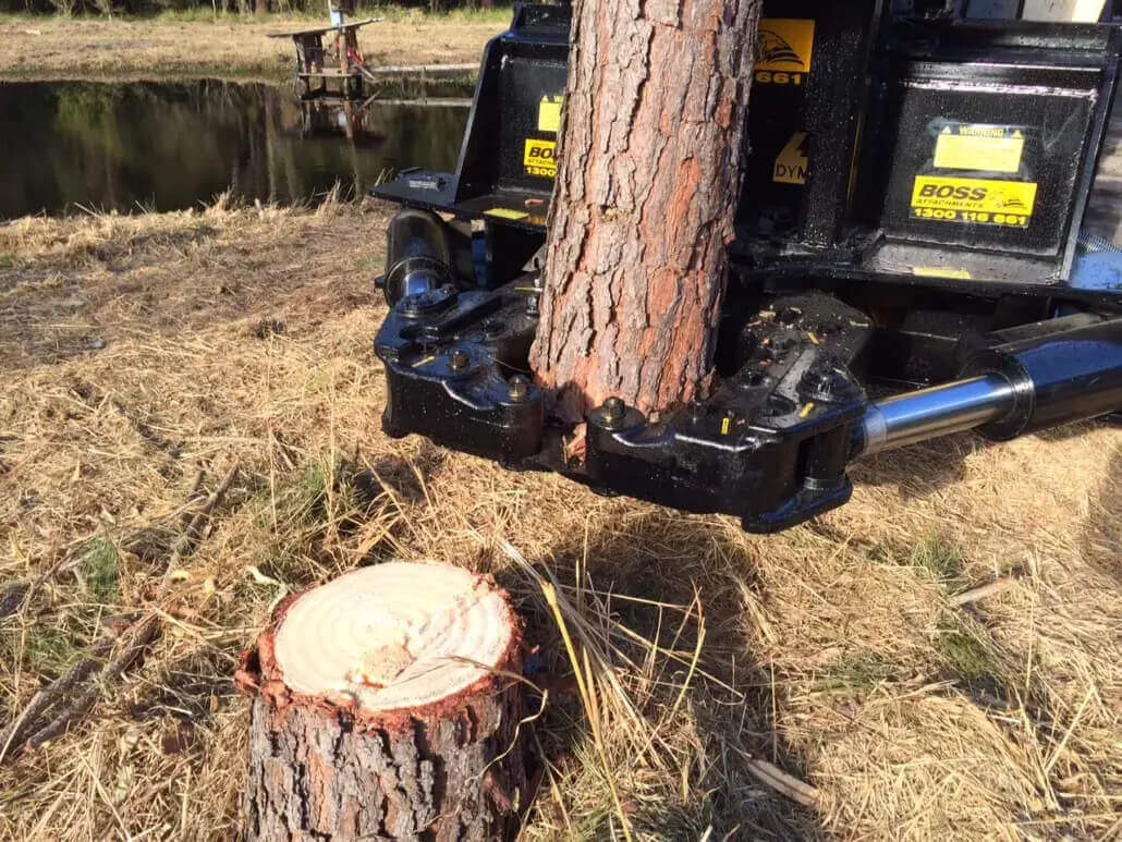 14" & 16" Timberwolf Forestry Tree Shears | Maxx Attachments | Skid ...